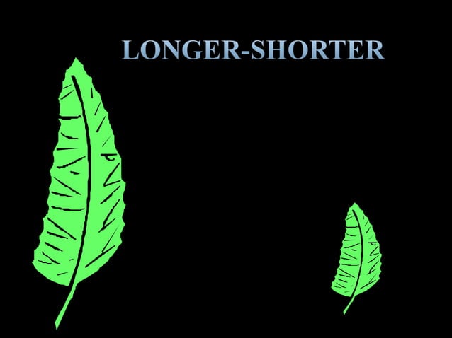 L 1 what is long what is short | PPT