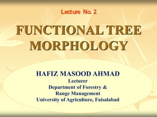 L-2- Functional Tree Morphology W-23.pdf | Woodworking | Arts and Crafts