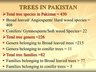 L-2- Functional Tree Morphology W-23.pdf | Woodworking | Arts and Crafts