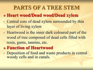 L-2- Functional Tree Morphology W-23.pdf | Woodworking | Arts and Crafts