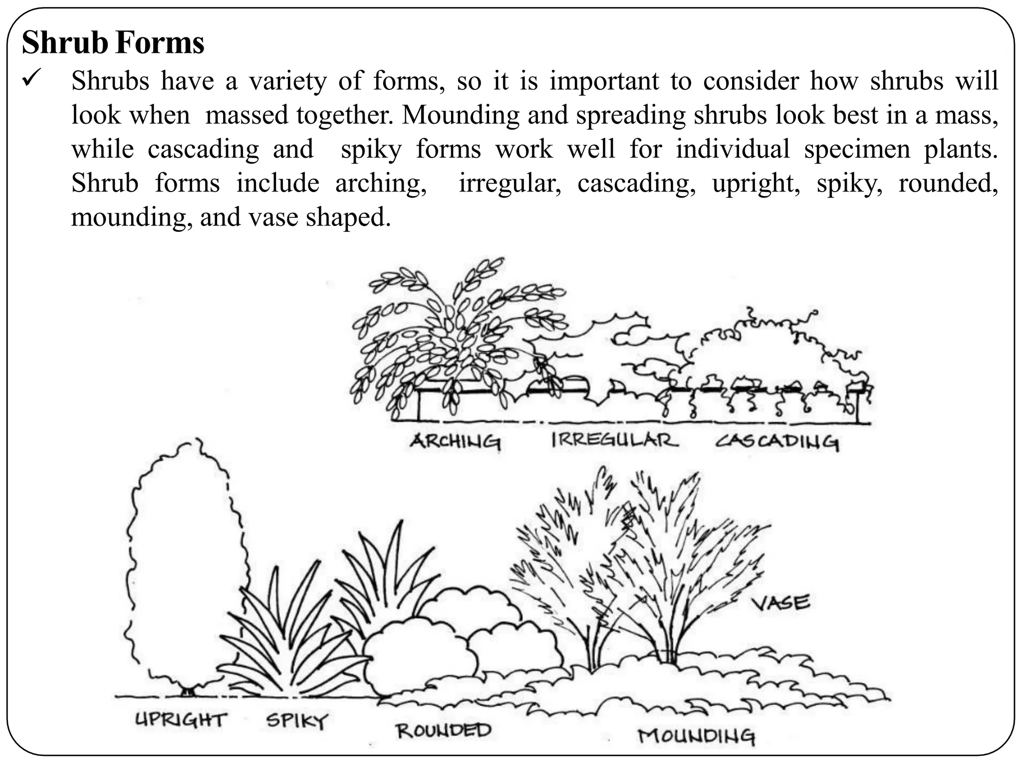 L-2-landscape architecture -PLANTS.pdf