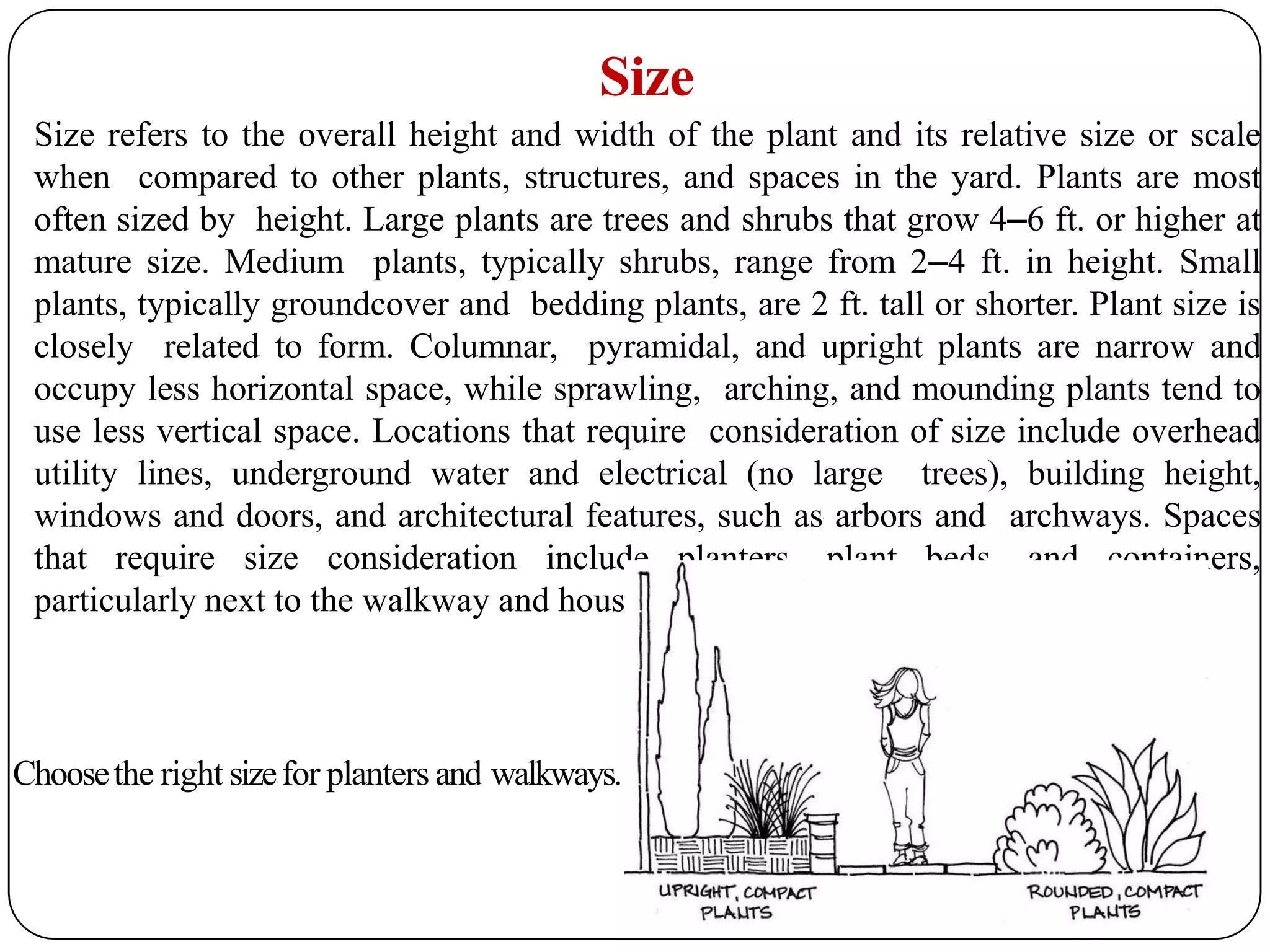 L-2-landscape architecture -PLANTS.pdf