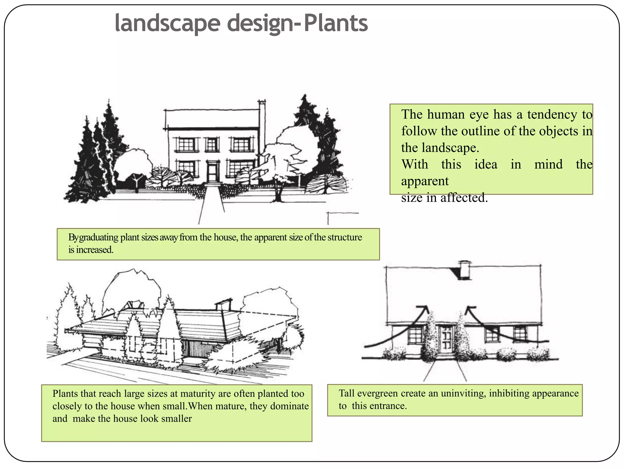 L-2-landscape architecture -PLANTS.pdf