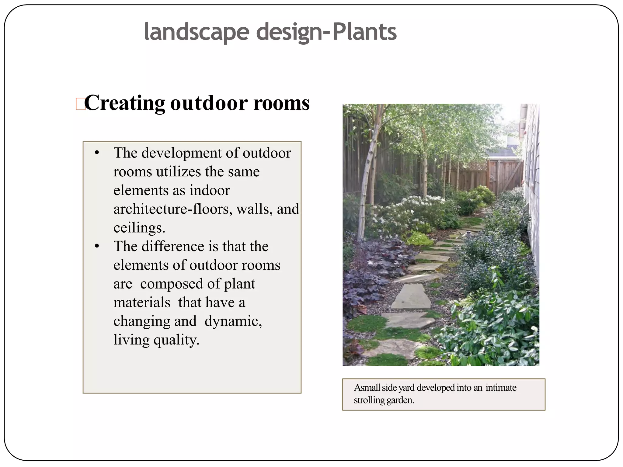 L-2-landscape architecture -PLANTS.pdf