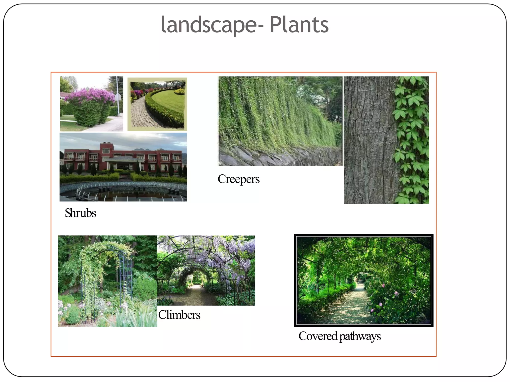 L-2-landscape architecture -PLANTS.pdf