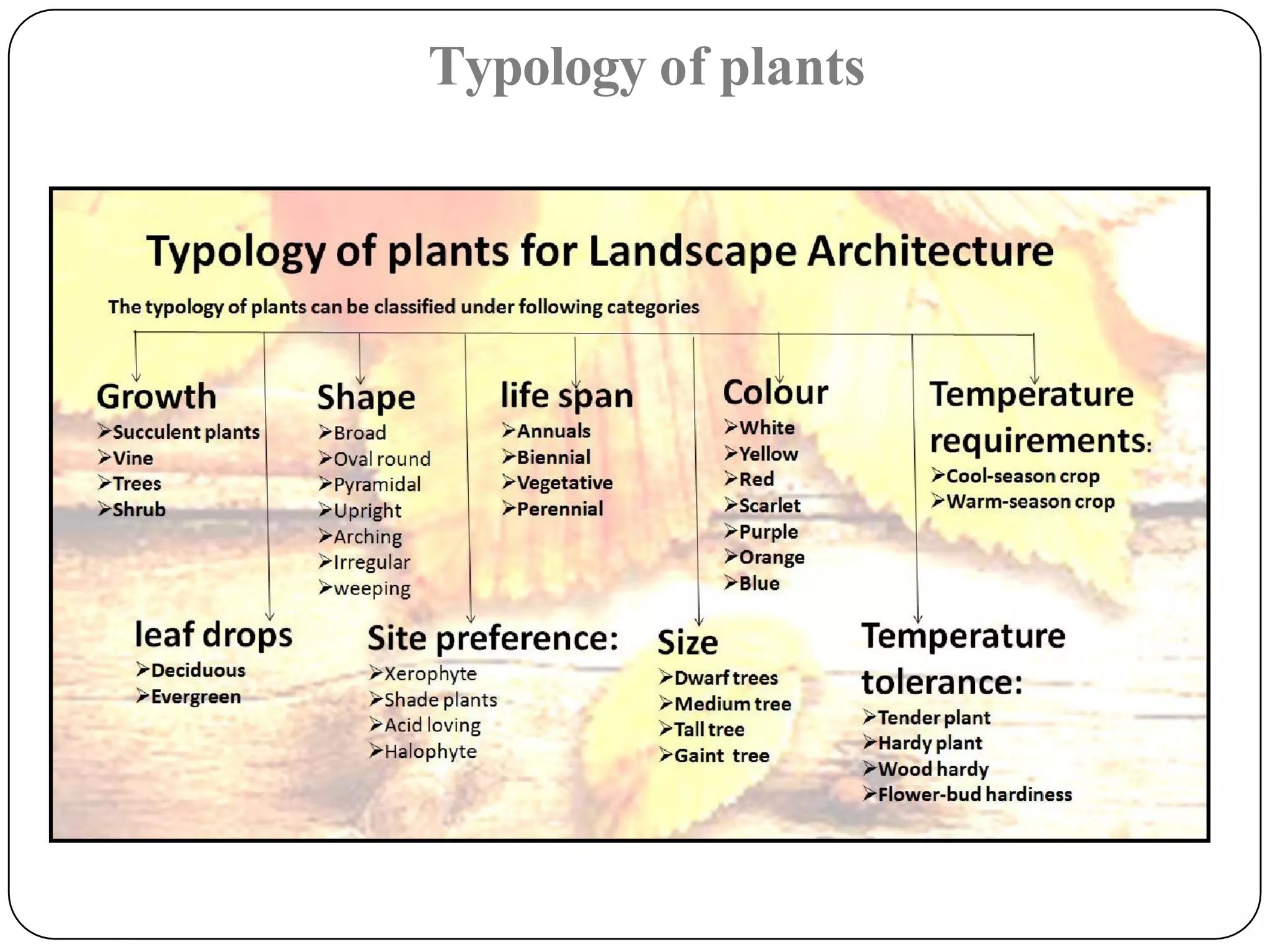 L-2-landscape architecture -PLANTS.pdf
