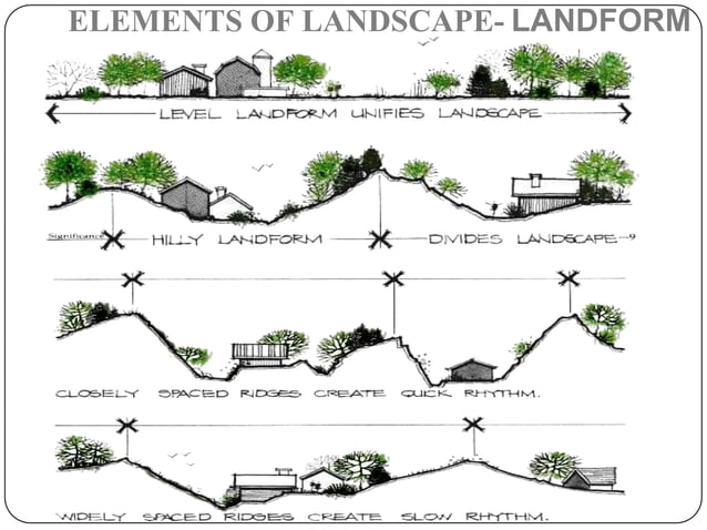 L-2-landscape architecture -PLANTS.pdf | Gardening | Home & Garden