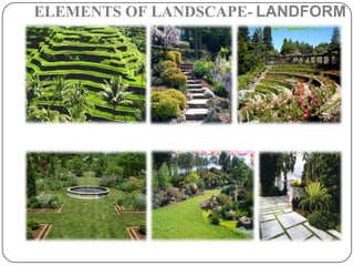 L-2-landscape architecture -PLANTS.pdf