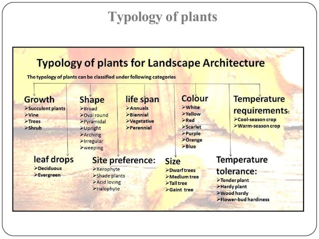 L-2-landscape architecture -PLANTS.pdf | Gardening | Home & Garden