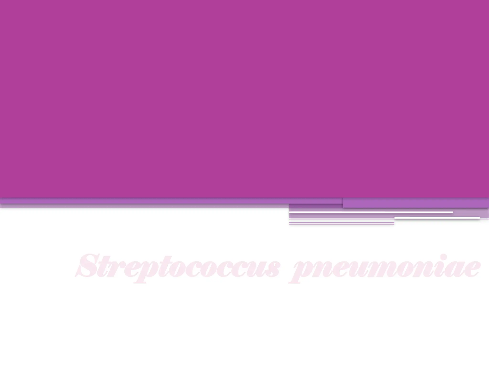 Streptococcus pneumoniae, also known as pneumococcus, is a significant ...