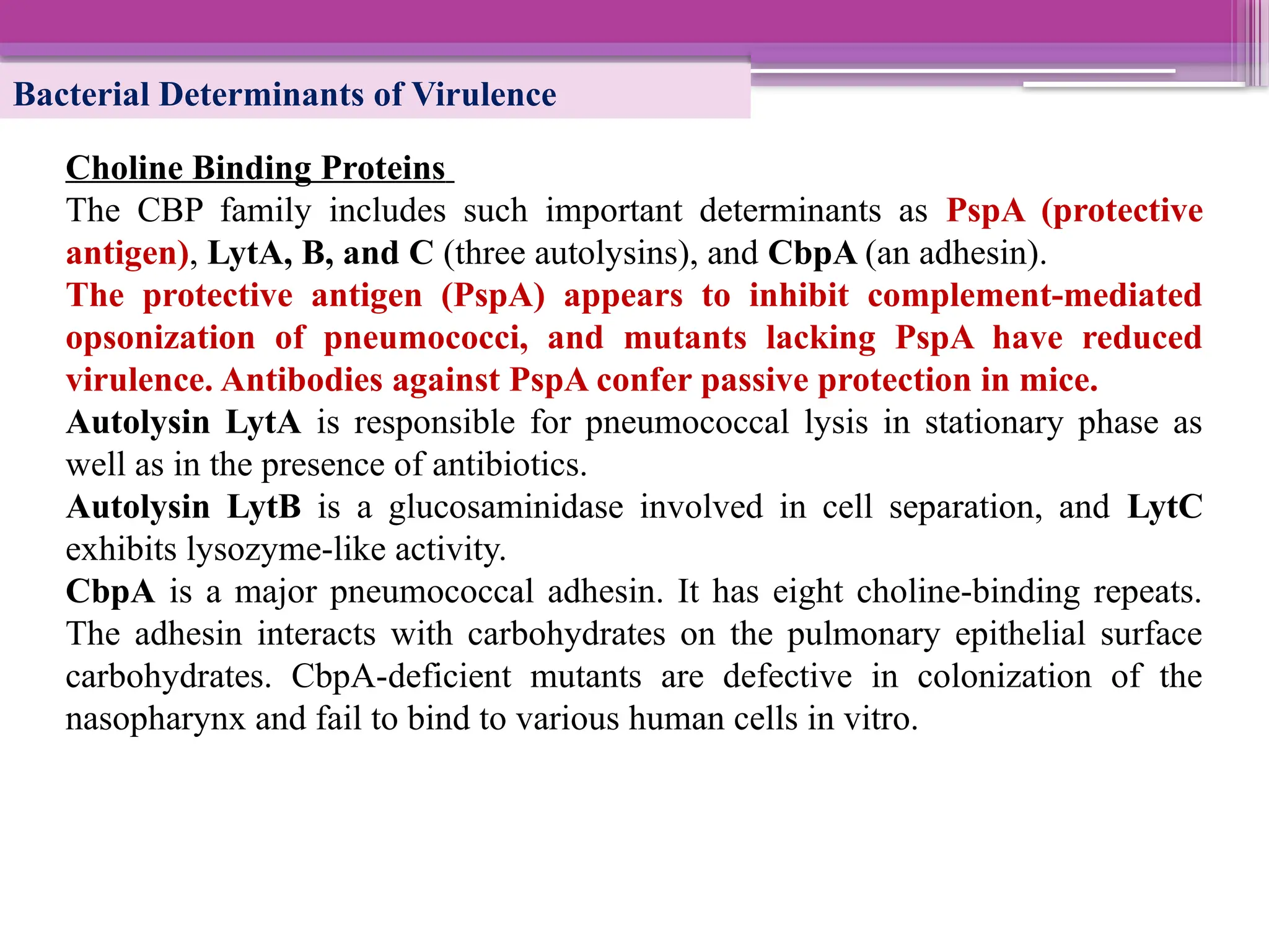 Streptococcus pneumoniae, also known as pneumococcus, is a significant ...