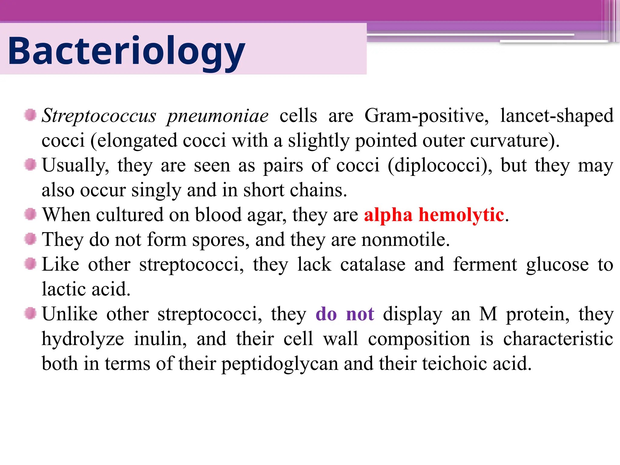 Streptococcus pneumoniae, also known as pneumococcus, is a significant ...