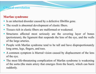 L.6. CONNECTIVE TISSUES.pdf