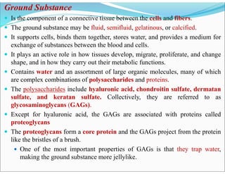 L.6. CONNECTIVE TISSUES.pdf