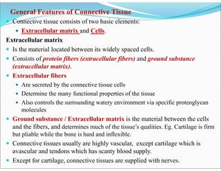 L.6. CONNECTIVE TISSUES.pdf