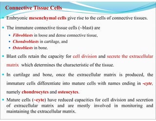 L.6. CONNECTIVE TISSUES.pdf