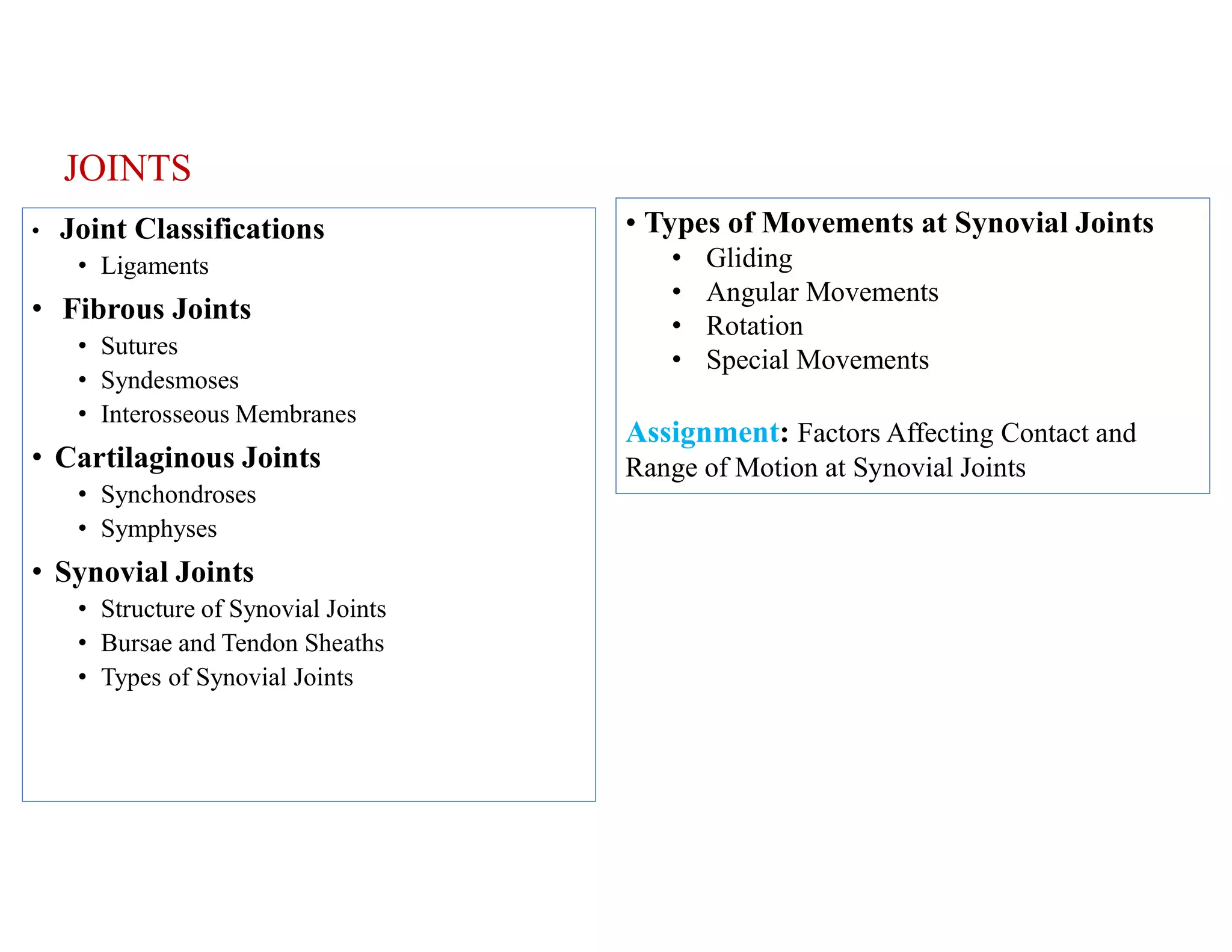 L.19. JOINTS.pdf