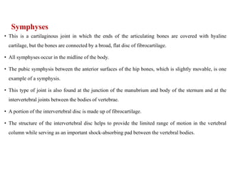 L.19. JOINTS.pdf