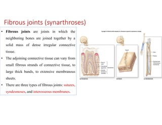 L.19. JOINTS.pdf