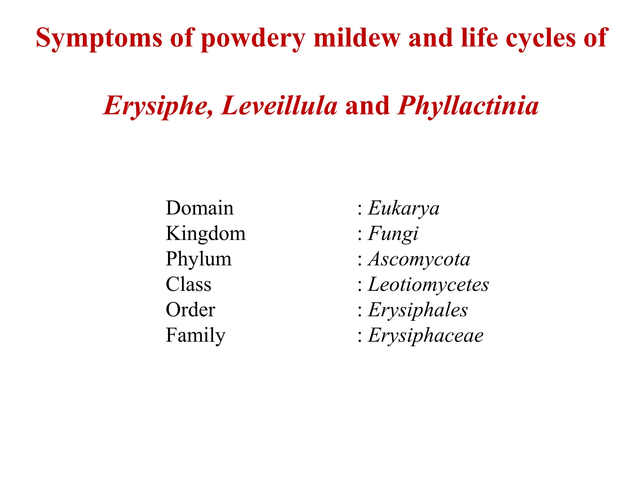 L.20 Powdery mildew complete symptoms of powdery mildew | PPT