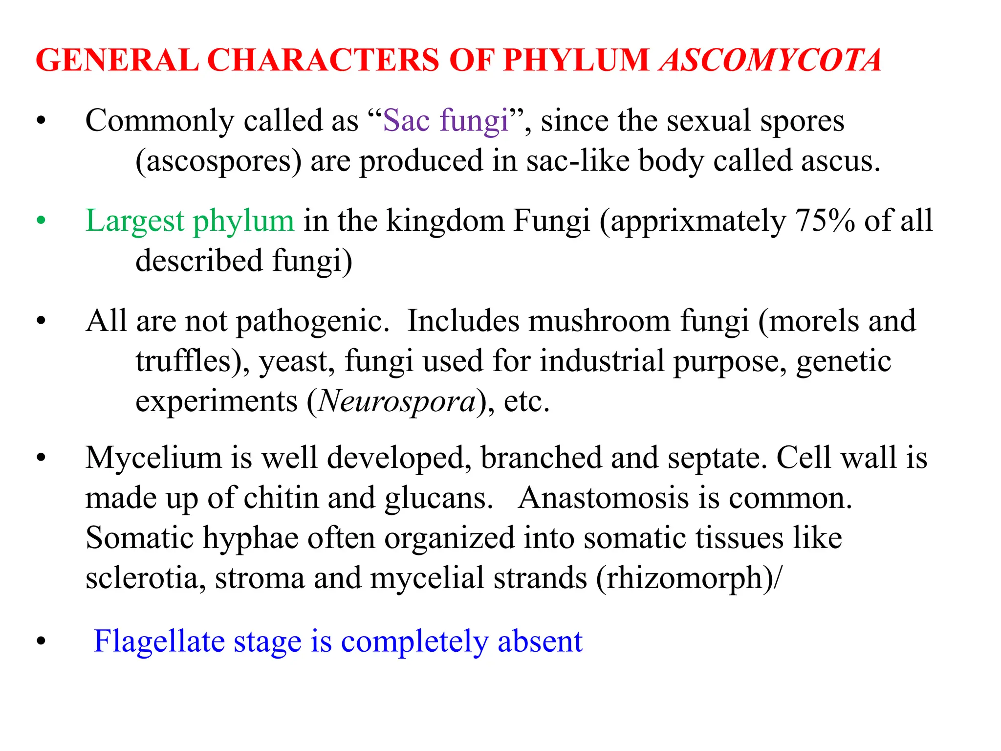 L.20 Powdery mildew complete symptoms of powdery mildew | PPT