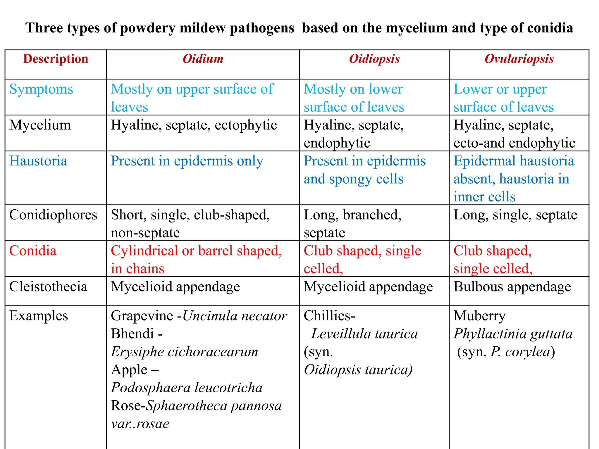 L.20 Powdery mildew complete symptoms of powdery mildew | PPT