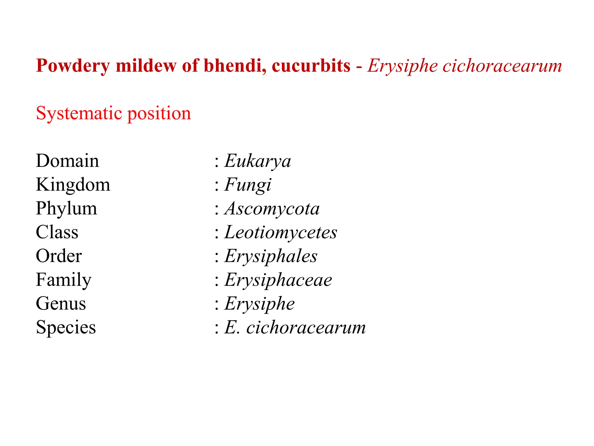 L.20 Powdery mildew complete symptoms of powdery mildew | PPT
