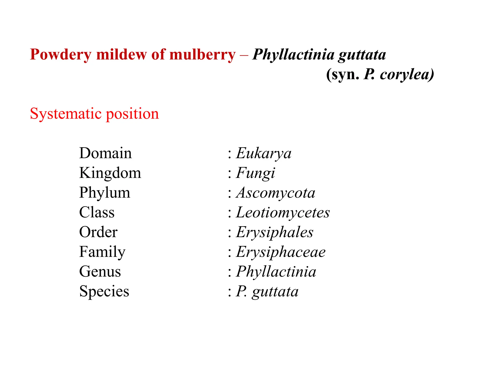 L.20 Powdery mildew complete symptoms of powdery mildew | PPT