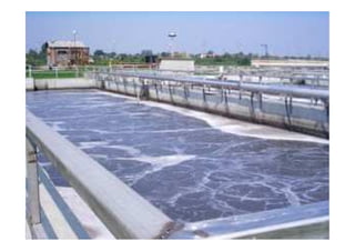 L 24 Activated Sludge Process | PDF