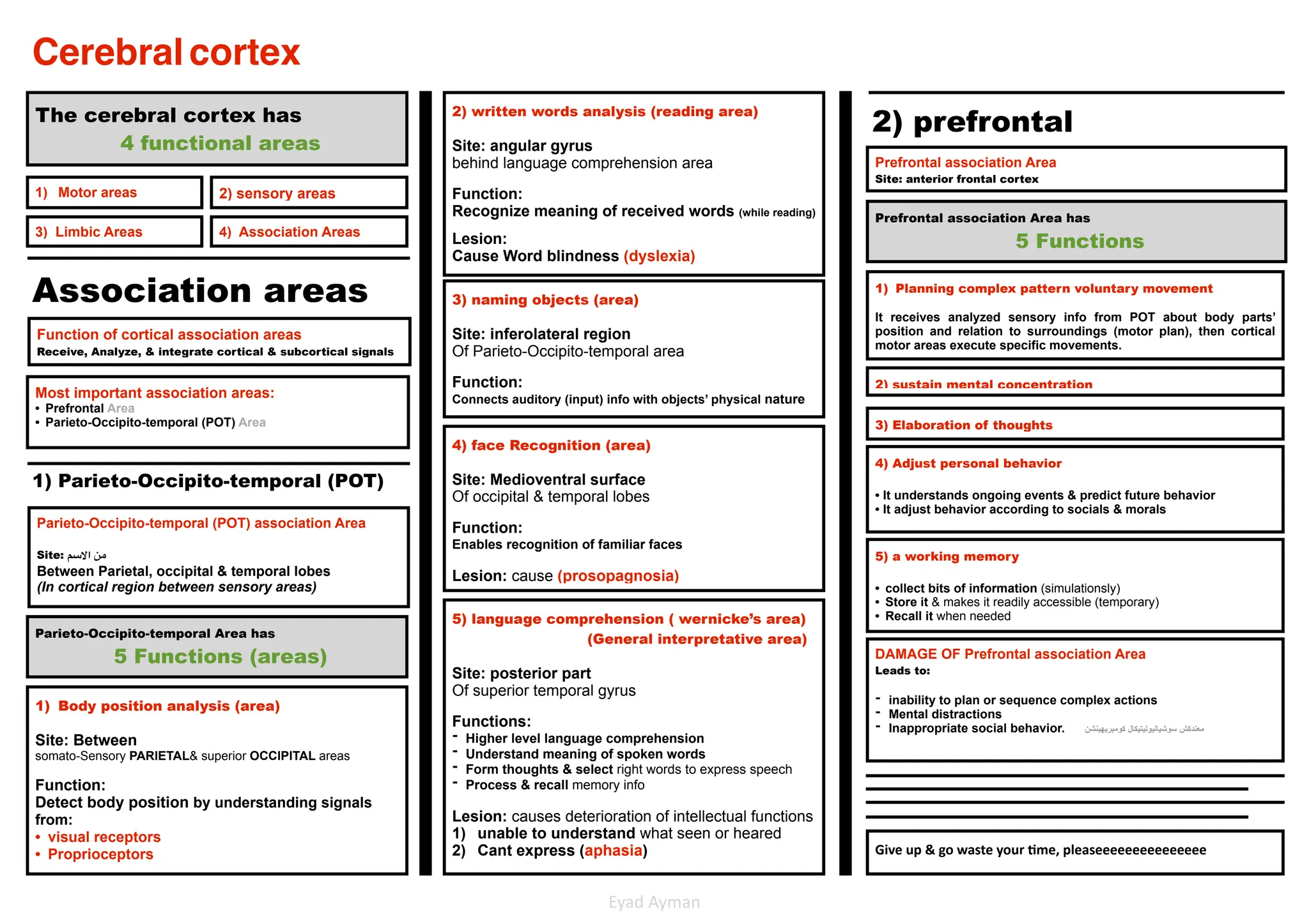 L.17 Cerebral cortex in two pages…………….. | PPT