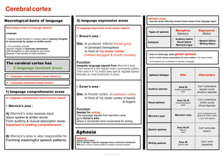 L.17 Cerebral cortex in two pages…………….. | PPT