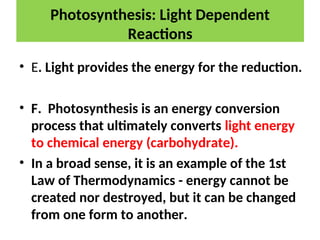 L.10 Photosynthesis.ppt and the light stage, structure of chloroplasts ...