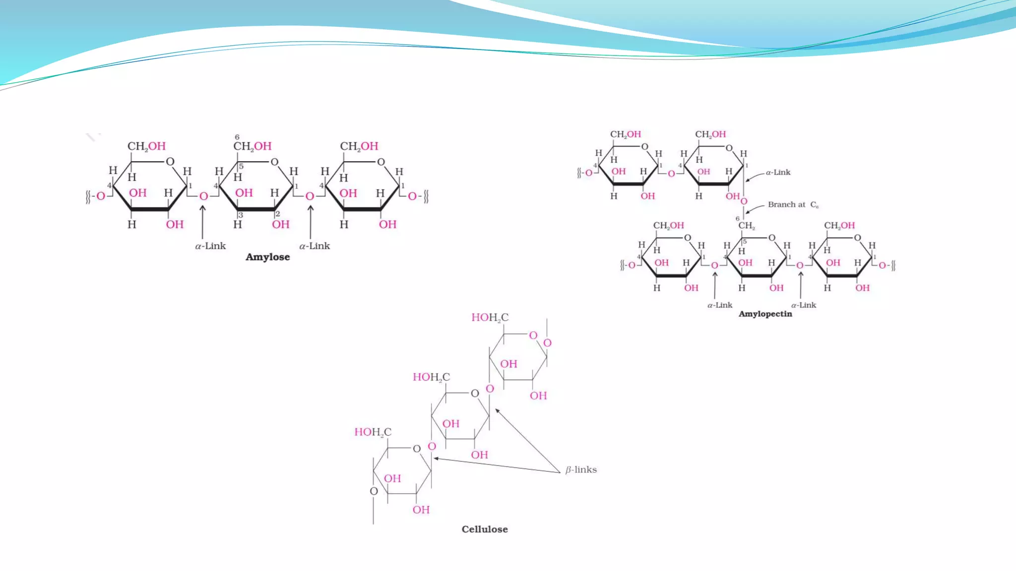 L-2 Biomolecules and carbohydrates.pptx