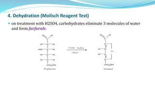 L-2 Biomolecules and carbohydrates.pptx