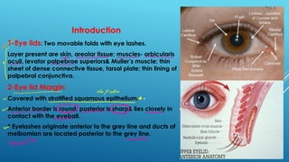 L-2 Eye lid disorder.pdf