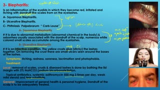 L-2 Eye lid disorder.pdf