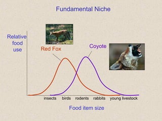 Nich Concept overview and types of niches | PPT