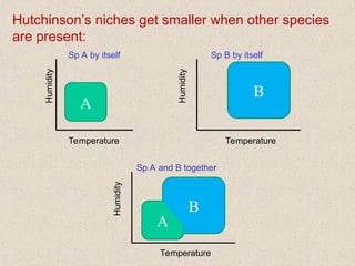 Nich Concept overview and types of niches | PPT