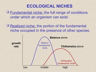 Nich Concept overview and types of niches | PPT