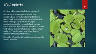 BIO | PPT