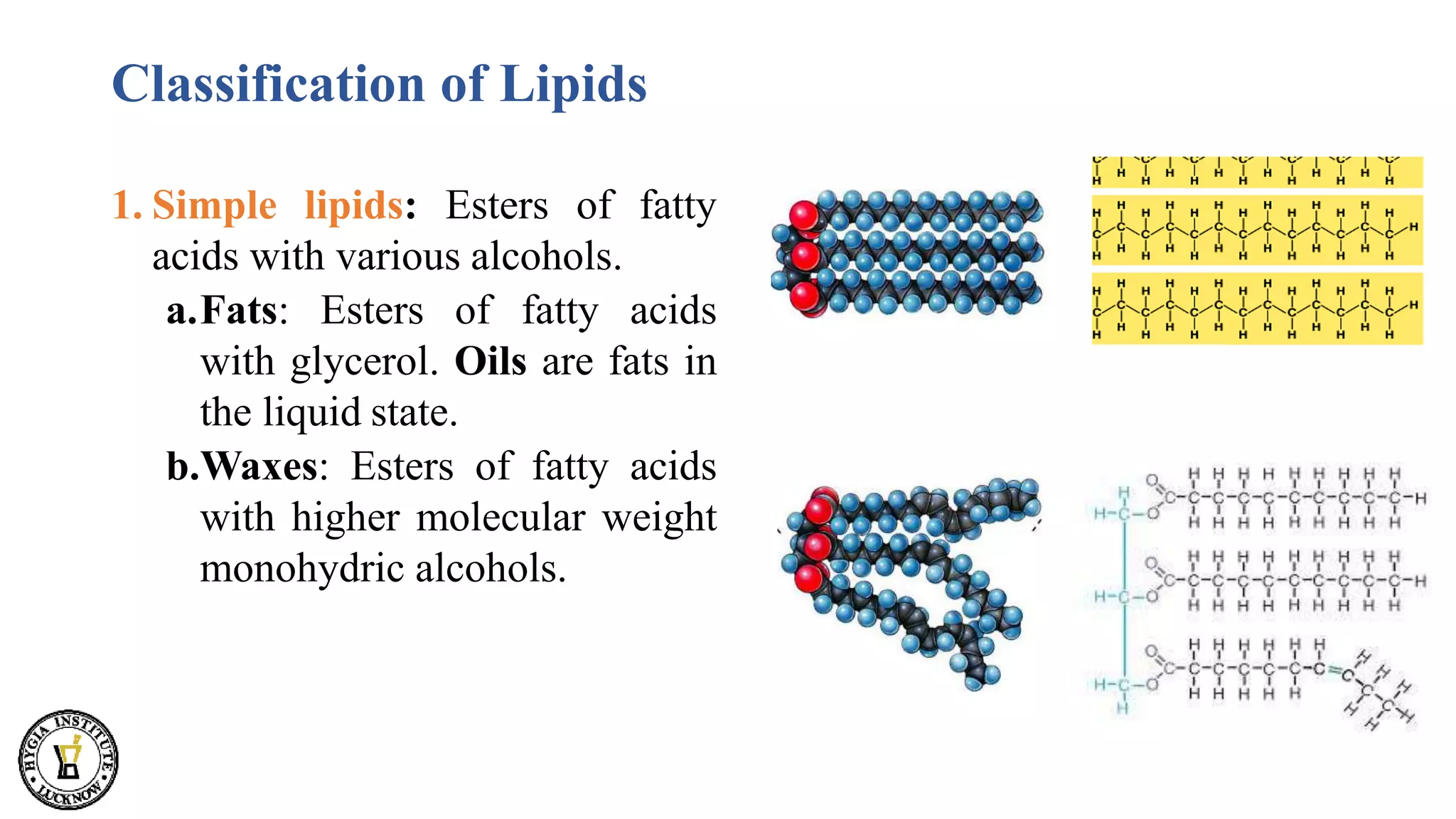 L-3 Lipids.pptx
