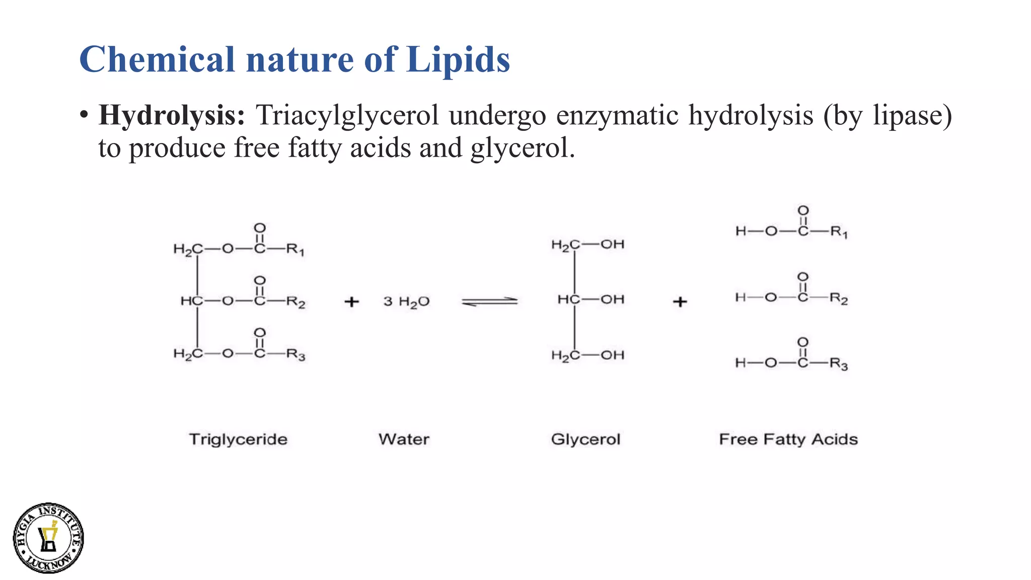 L-3 Lipids.pptx