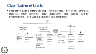 L-3 Lipids.pptx