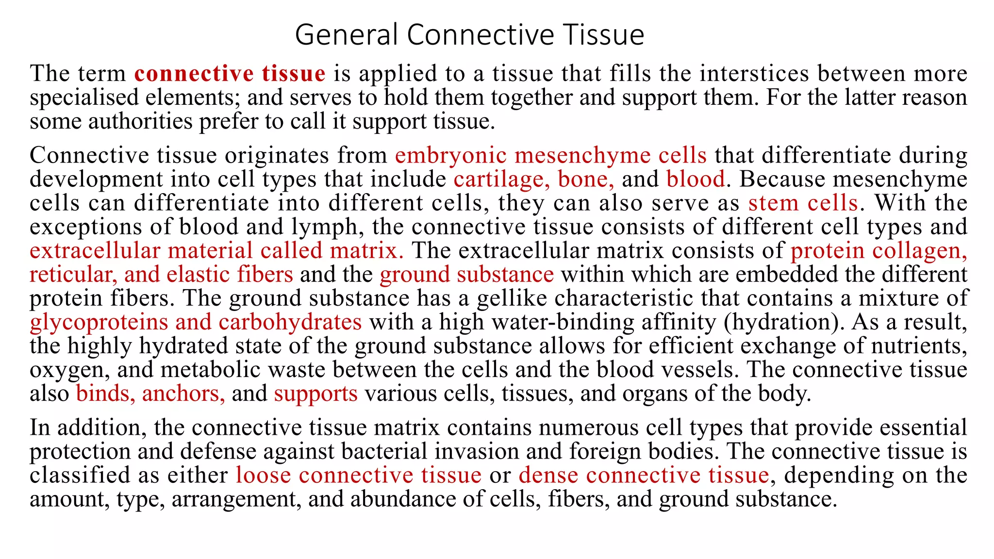 L - 4. General Connective Tissue.pdf