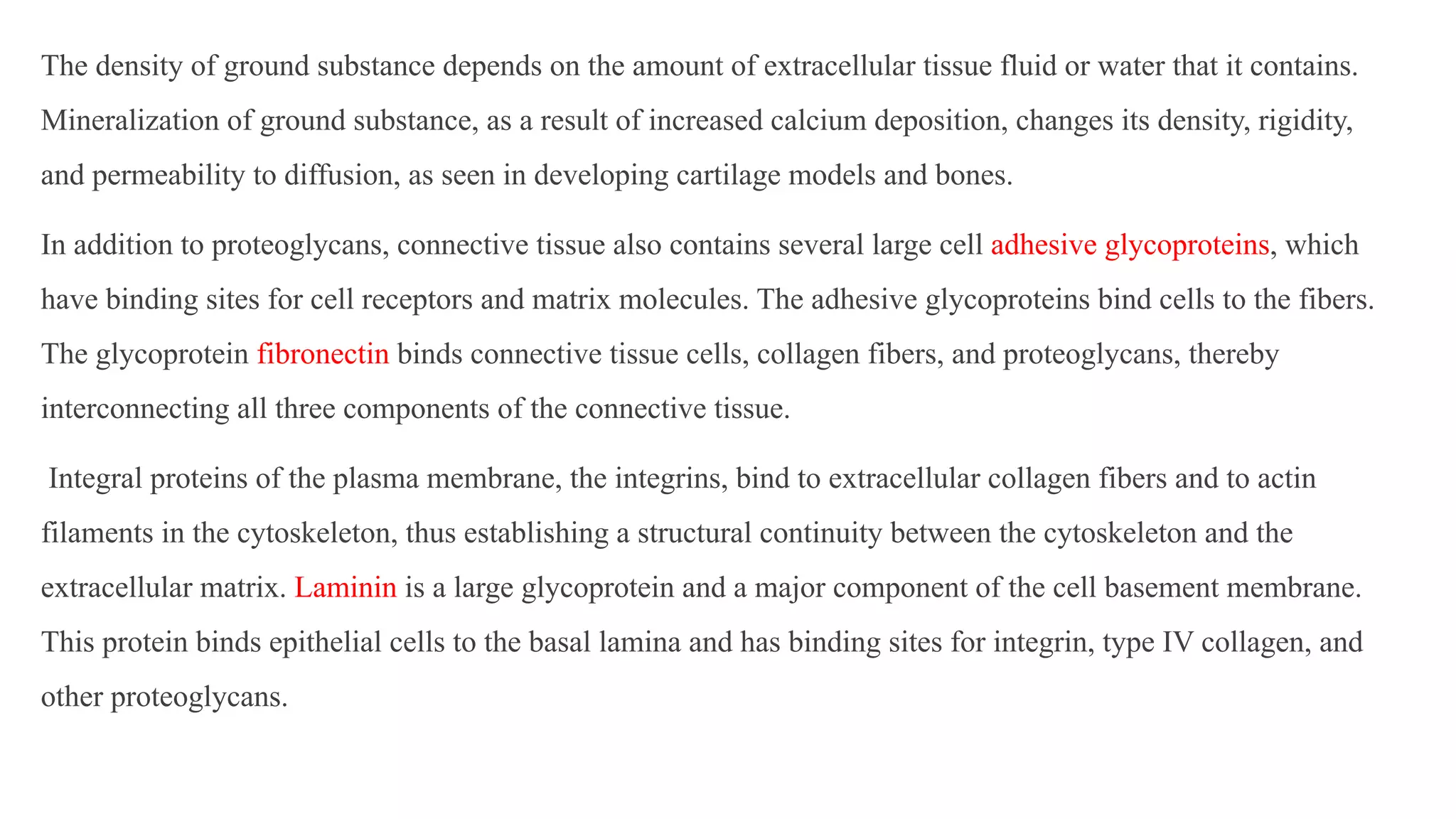 L - 4. General Connective Tissue.pdf