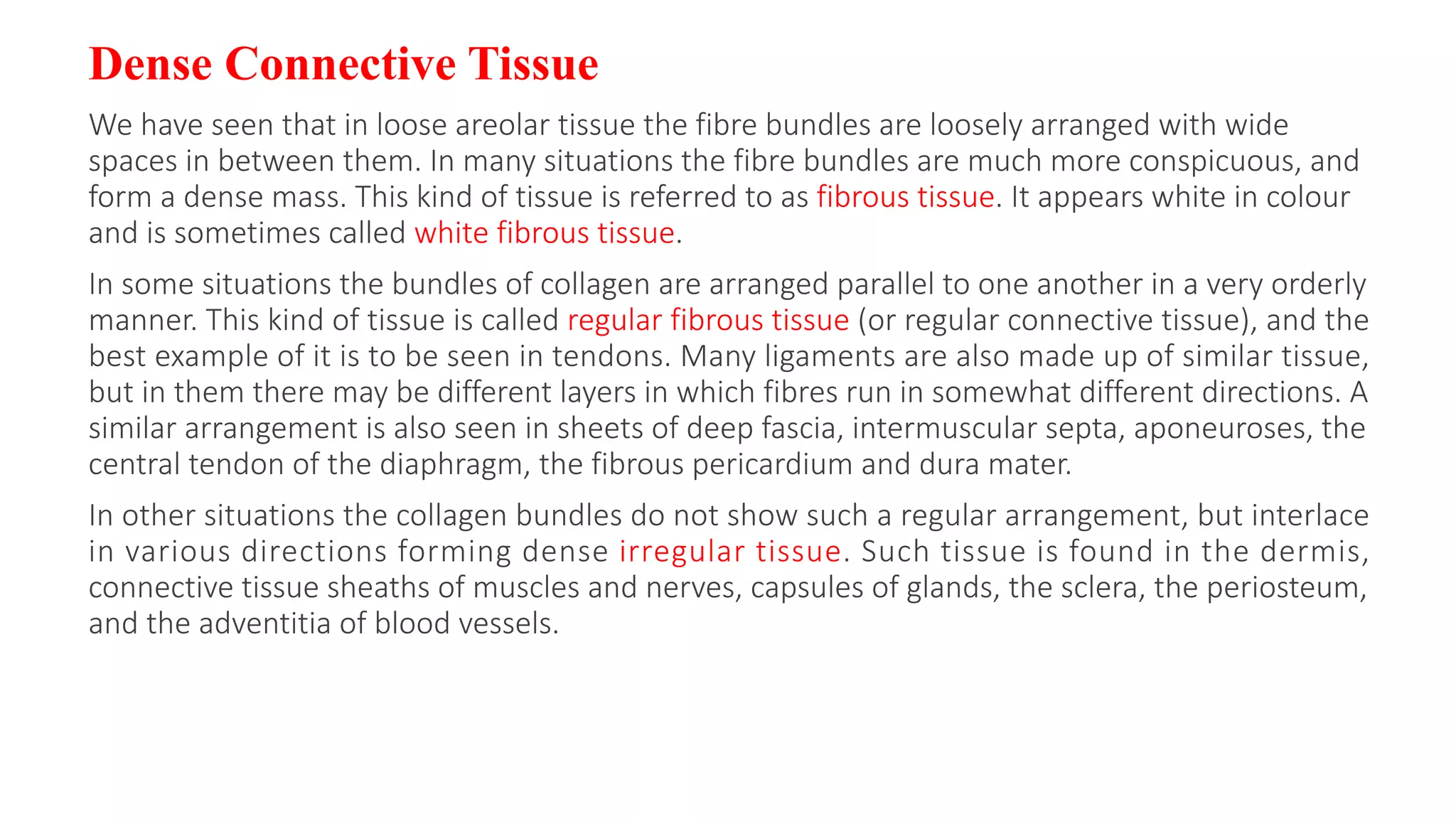 L - 4. General Connective Tissue.pdf