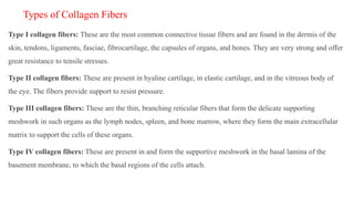 L - 4. General Connective Tissue.pdf