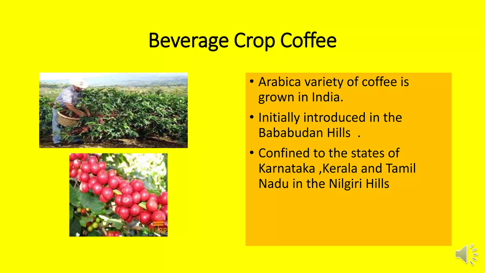 L-4 AGRICULTURE.pptx