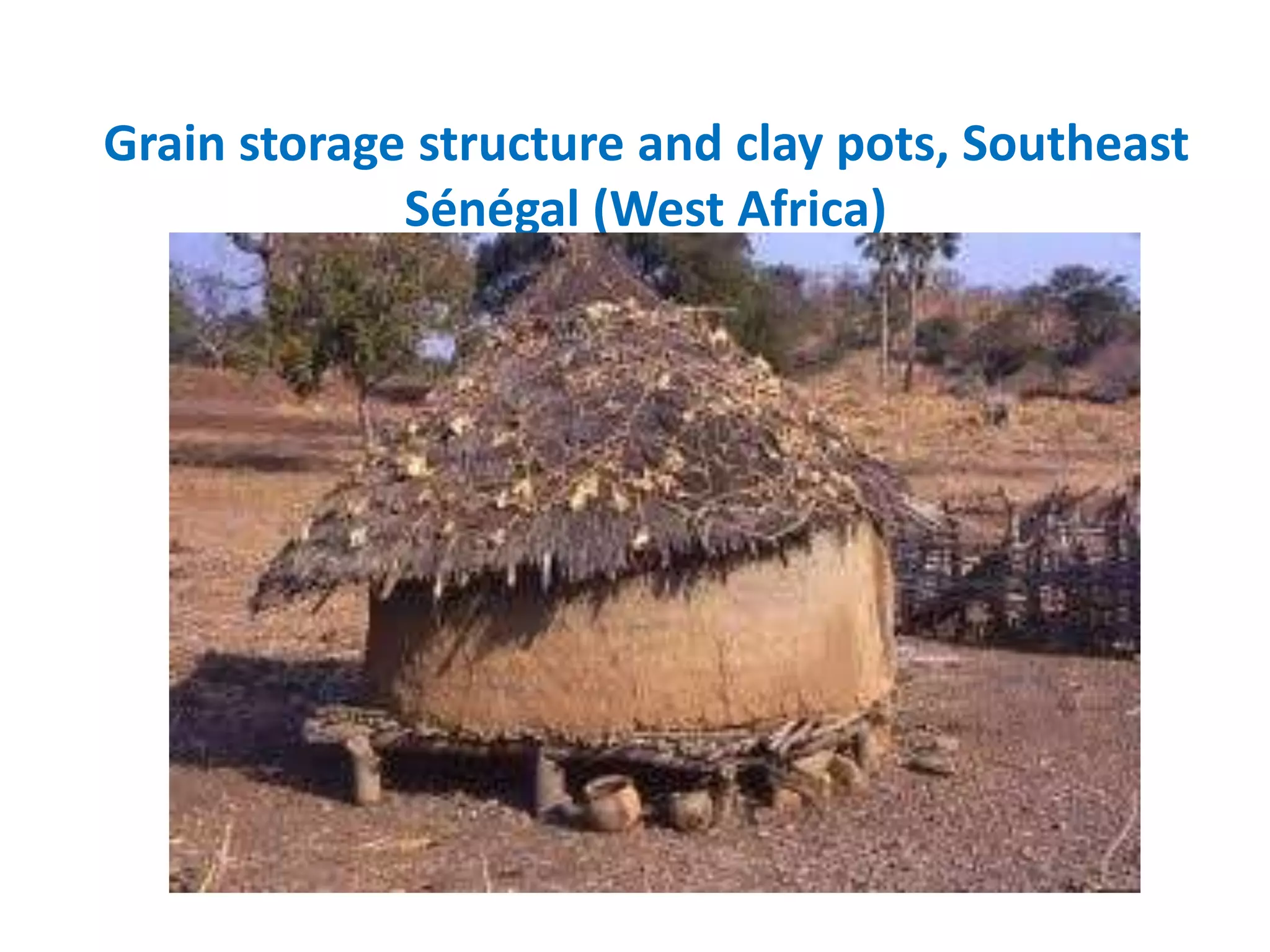 L-5-Grain storage structures-images.pptx