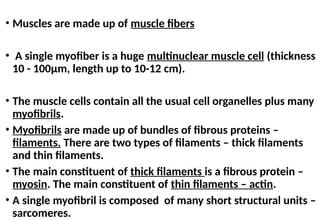 L-5BIOCHEMISTRY OF MUogggghjhgtgjgSCLES.pptx